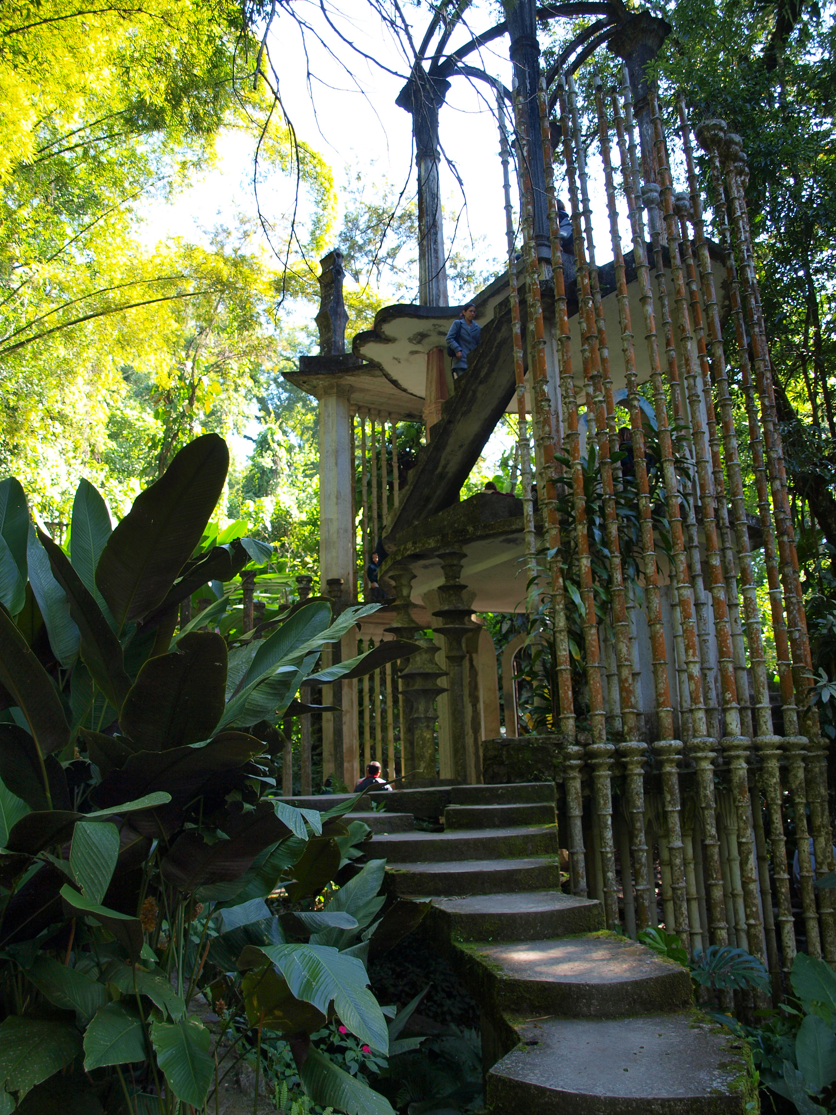 Creative Photography 305 Adrian Ugalde | when nature dreams in color