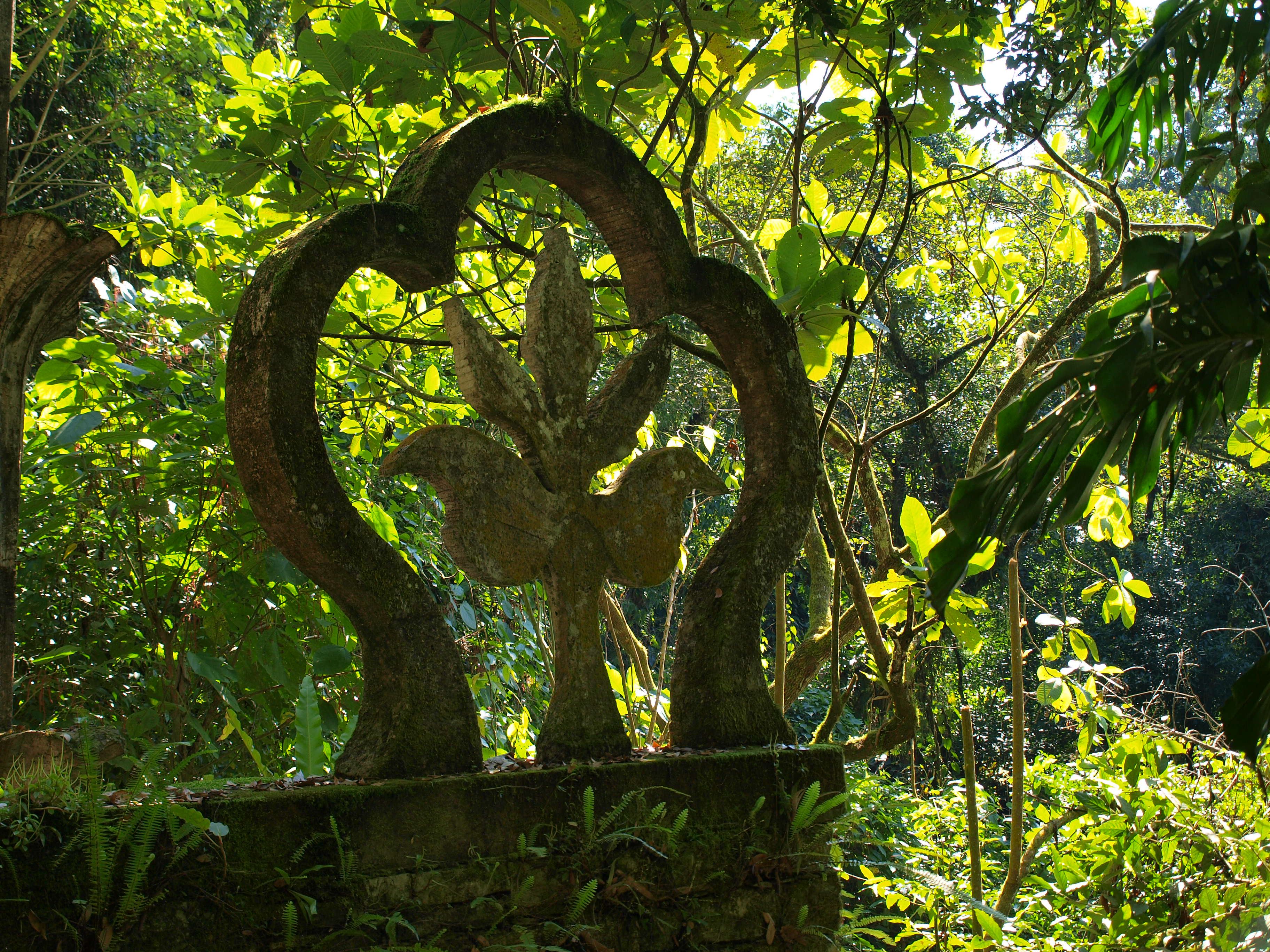 Creative Photography 305 Adrian Ugalde | when nature dreams in color